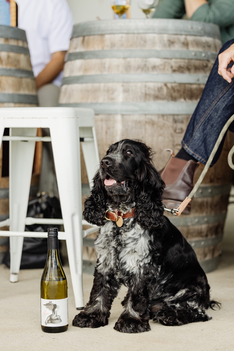 Dog-Friendly Cellar Doors – Hunter Valley | HUNTERhunter