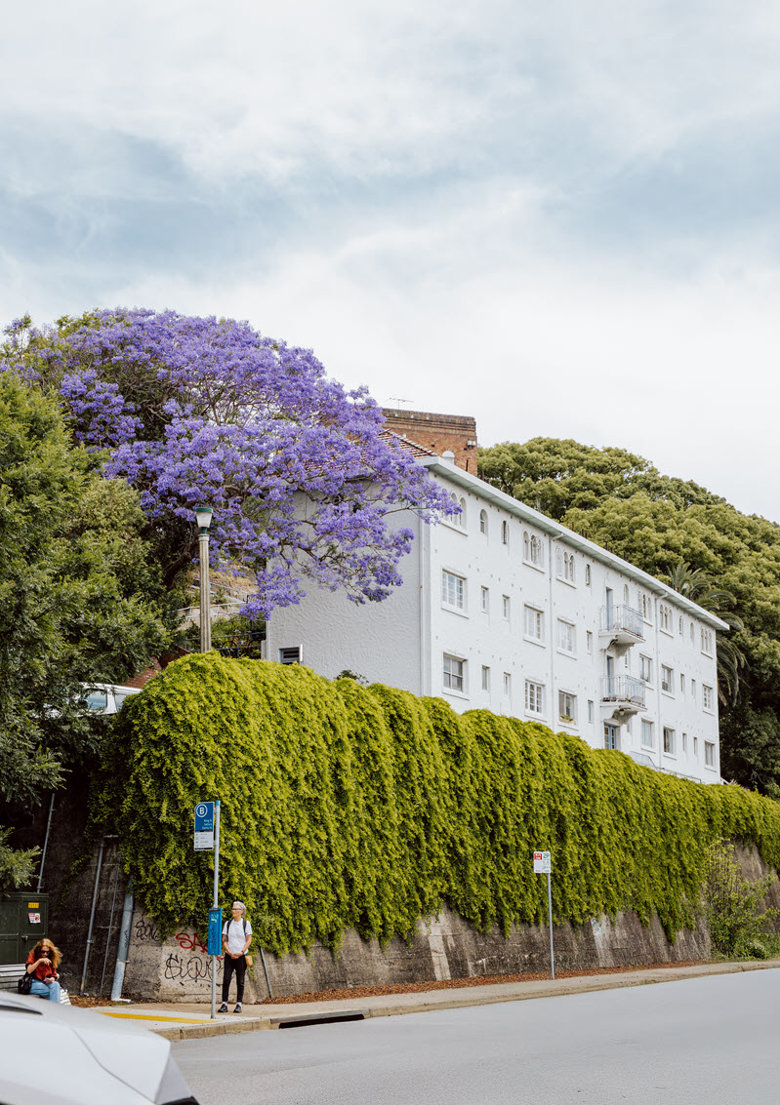 King Street Newcastle | HUNTERhunter