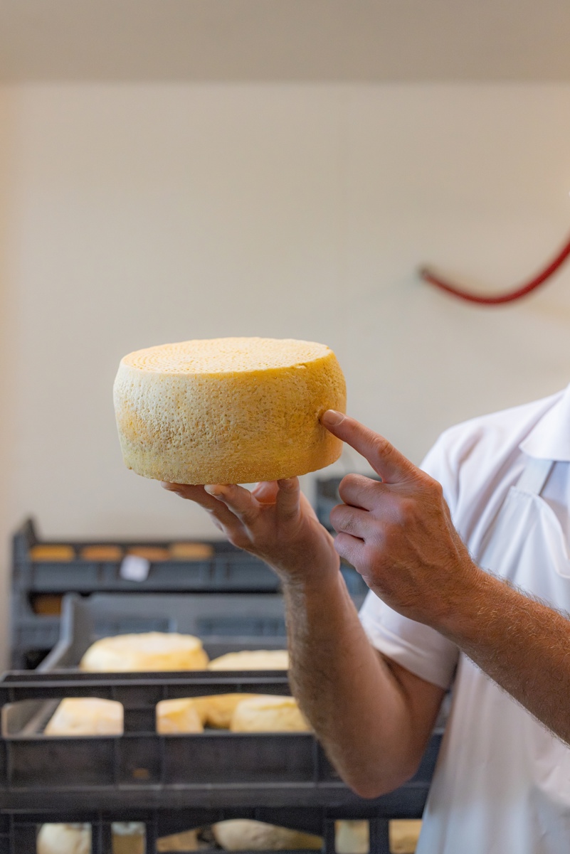 Hunter Valley Cheese Factory – Hunter Valley | HUNTERhunter